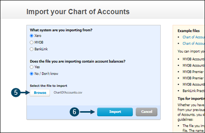 Import The Chart Of Accounts into XERO